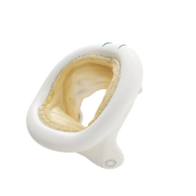 Bioprosthetic Heart Valve Medtronic Mosaic Heart Valve Replacement